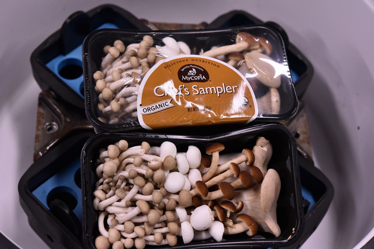 MyCoPortal Detailed Collection Record Information